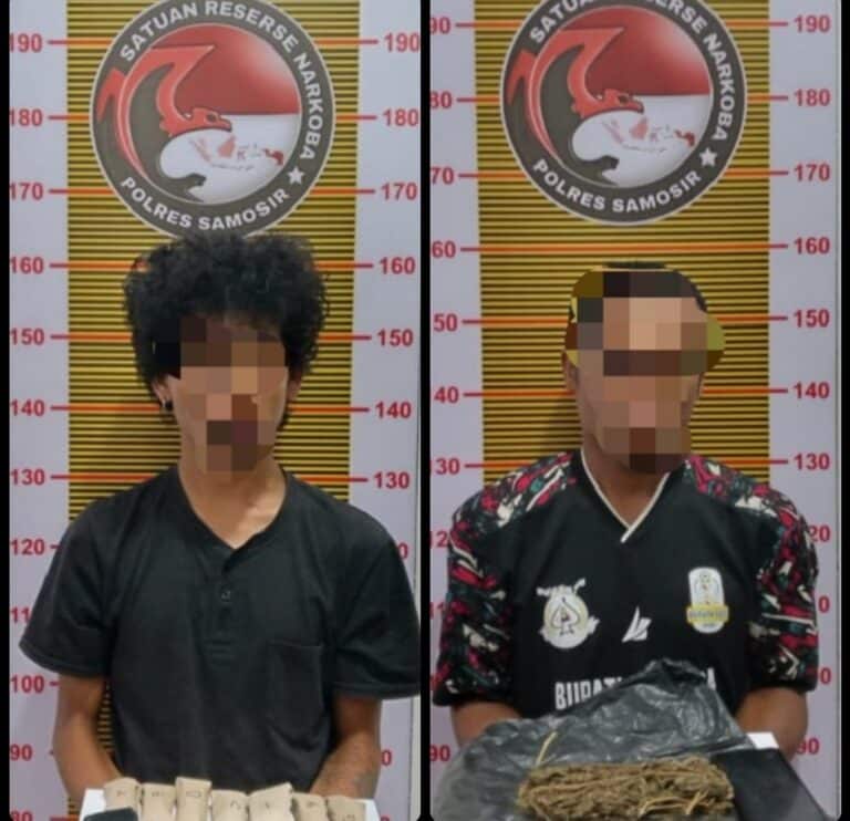Ganja Samosir Digerebek, Satres Narkoba Tangkap Dua Pria di Pangururan ...